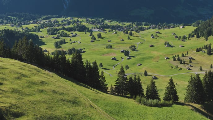 Maison Piaget Craftsmanship - Piaget Watchmaker and Jeweller