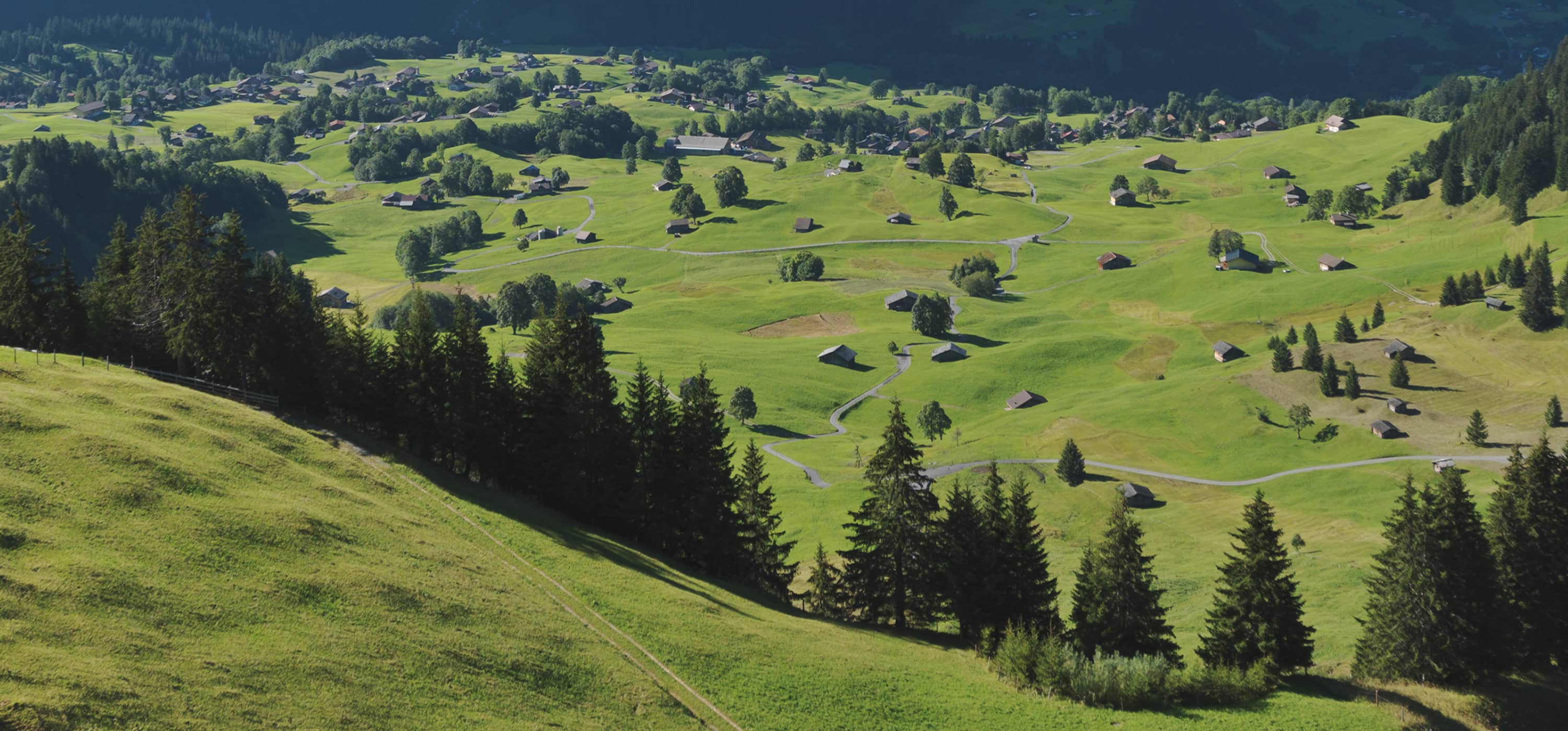 Ringe - Piaget Schmuck